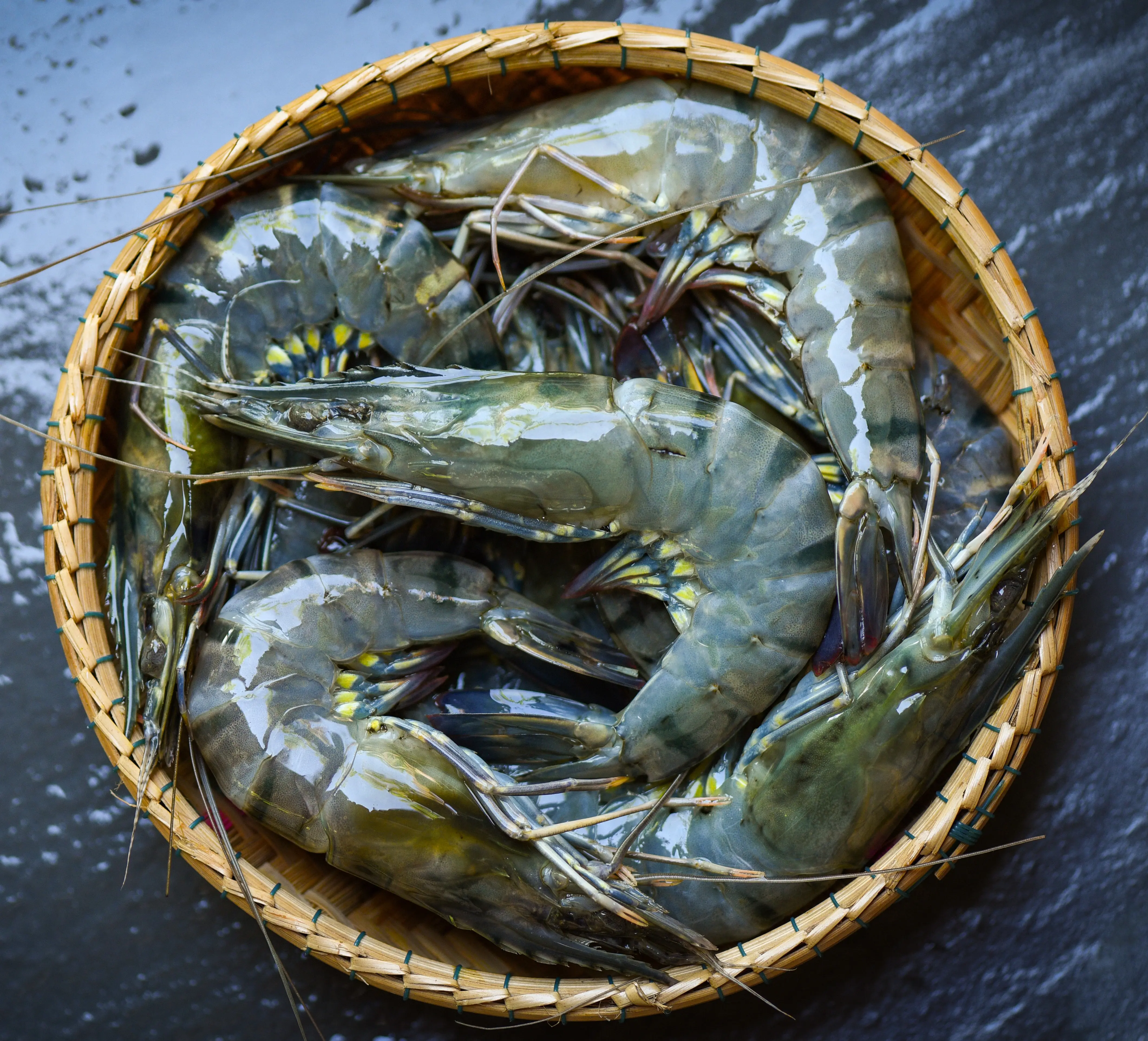 Blue Marine Agro | Premium Seafood from the Source